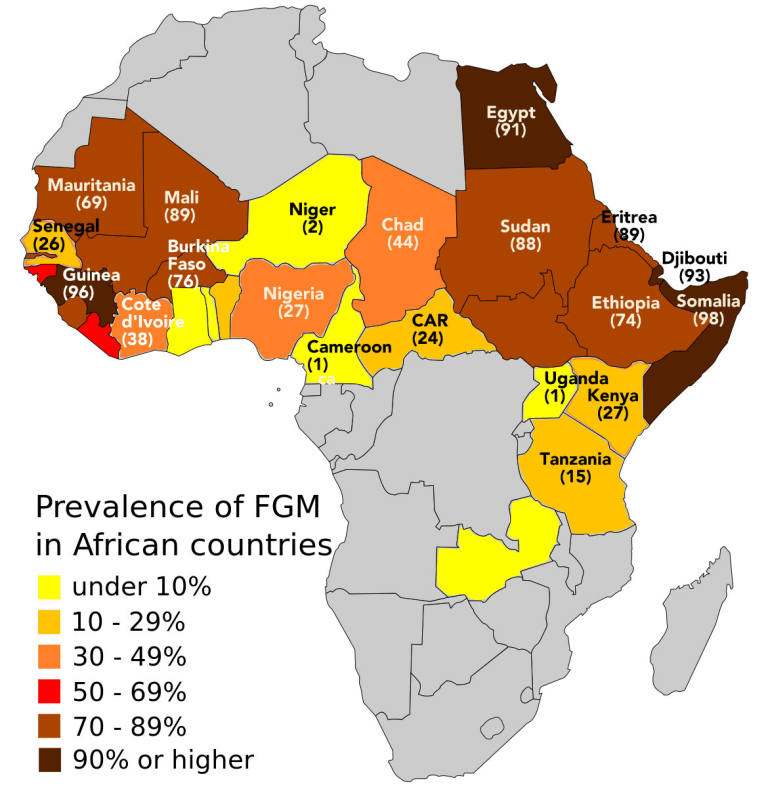 female genital mutilation in somalia Culturea & Health 2025